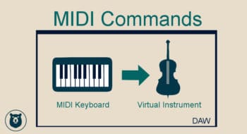 How to Connect Midi Keyboard to Audio Interface - Production Den